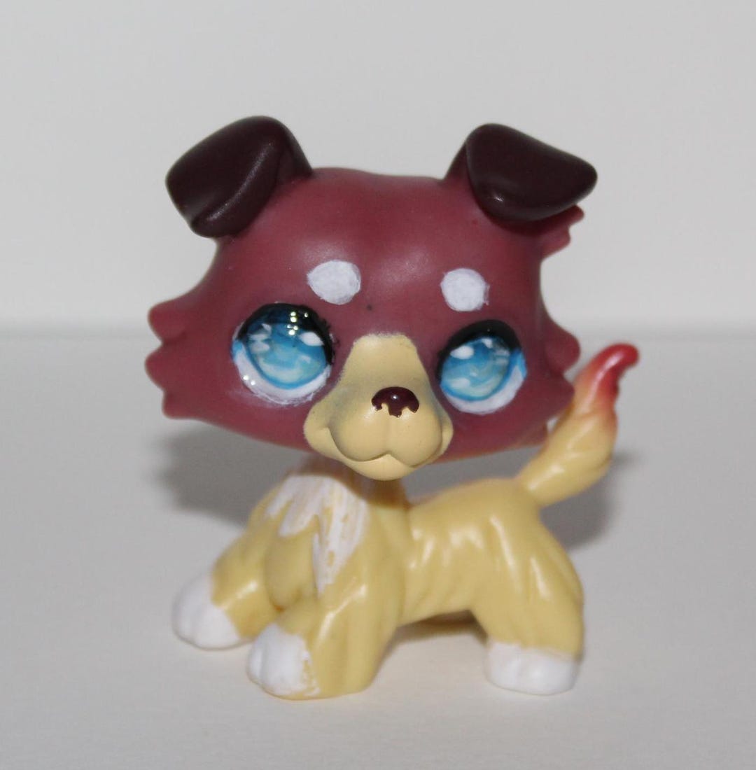 LPS Littlest Pet Shop Custom OOAK Collie Lps Dog OOAK - Etsy