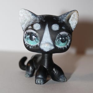 Littlest Pet Shop Custom LPS Shorthair Cat - Etsy