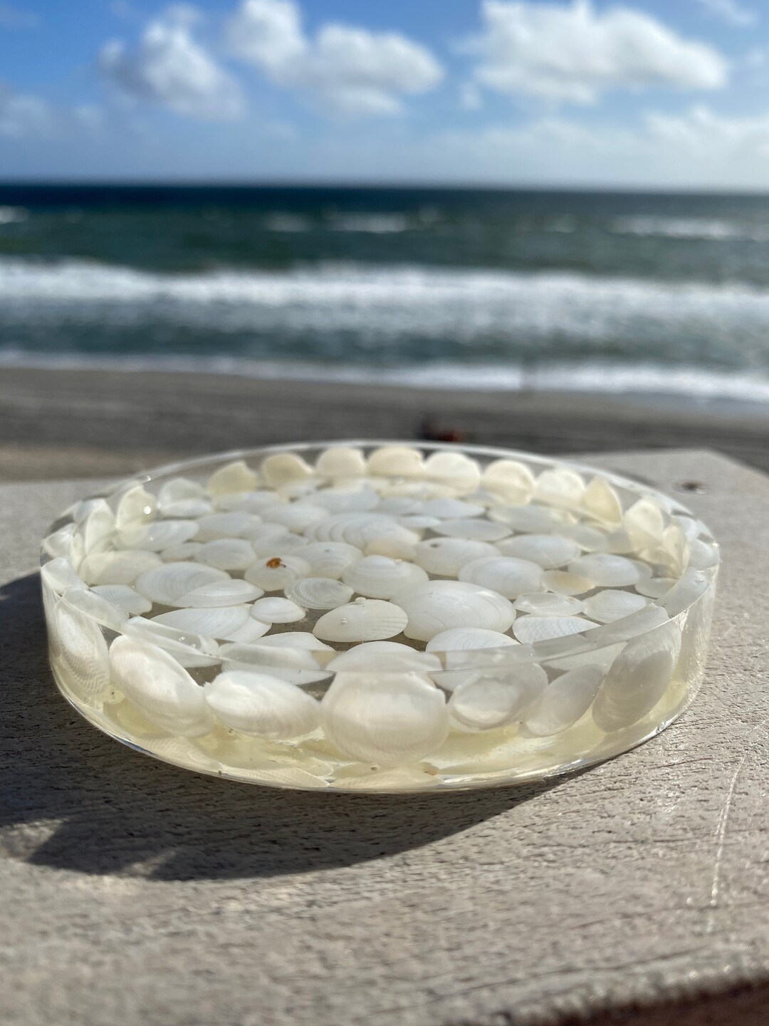 Elegant Coasters Made With Beautiful Florida Clam Shells Cast in Resin ...