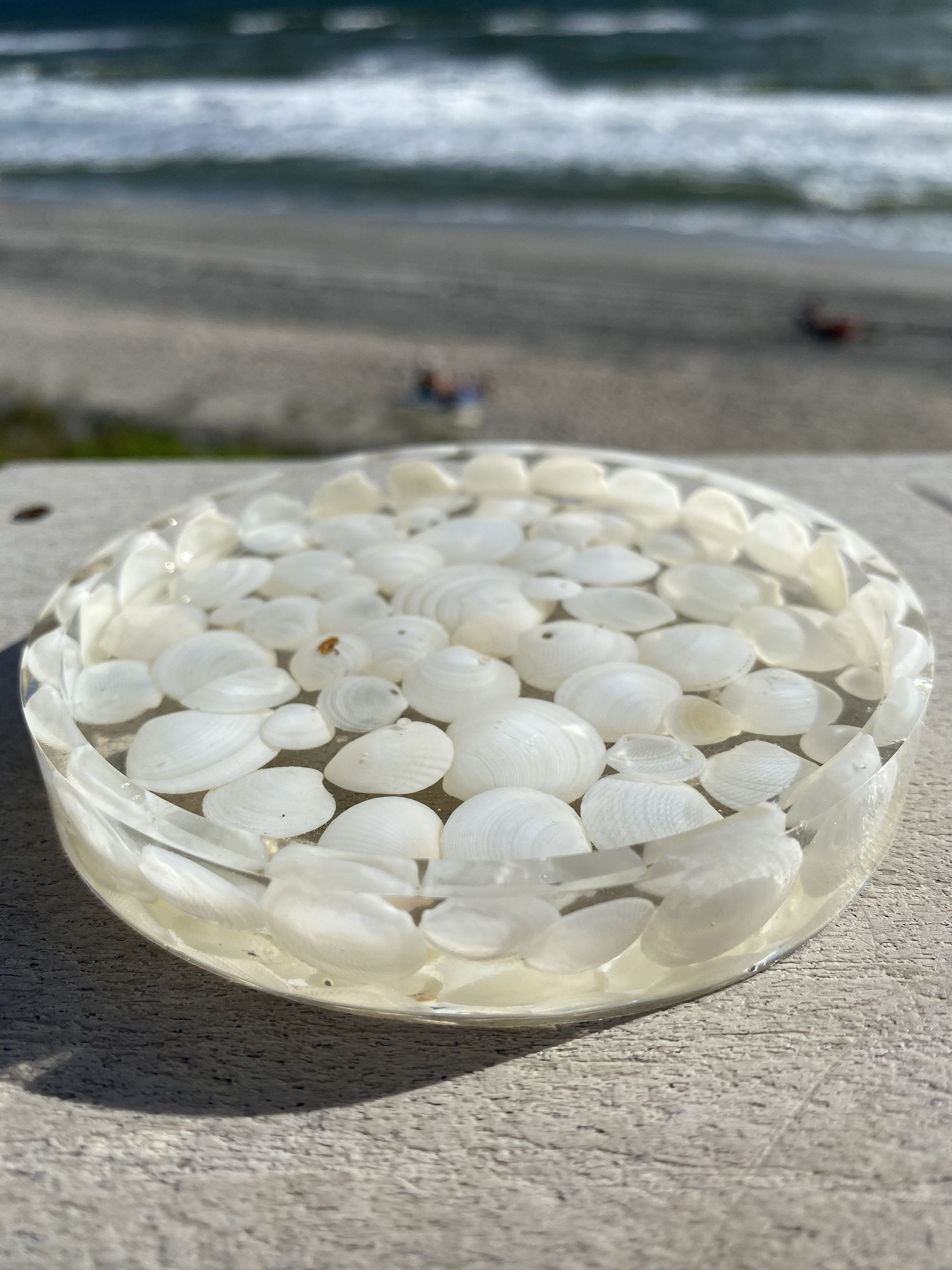 Elegant Coasters Made With Beautiful Florida Clam Shells Cast in Resin ...
