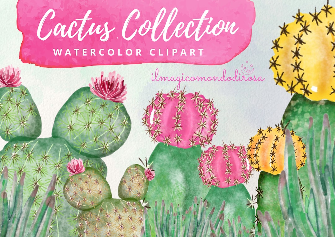 77 Watercolor Cactus Clipart, Build Your Own Cactus, Downloadable ...