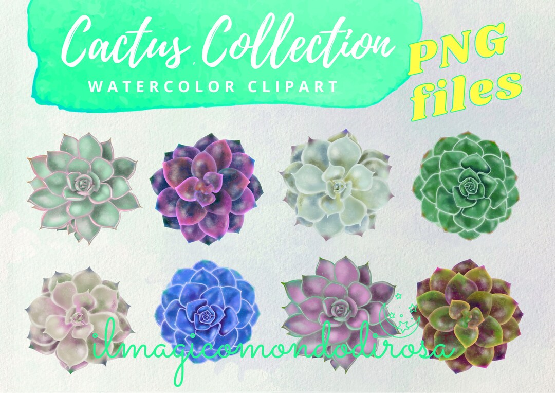 8 PNG Watercolor Succulent Cactus Clipart, Downloadable Digital Clipart ...