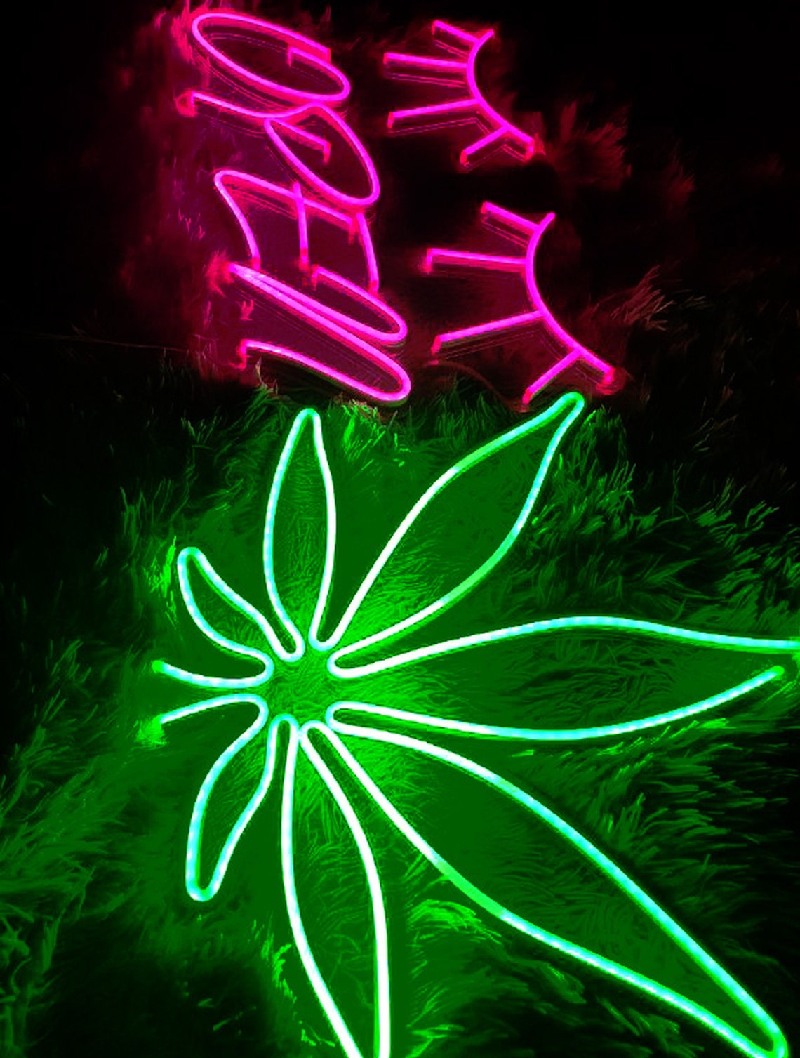 Neon Cannabis weed marijuana drag Custom led neon sign green | Etsy