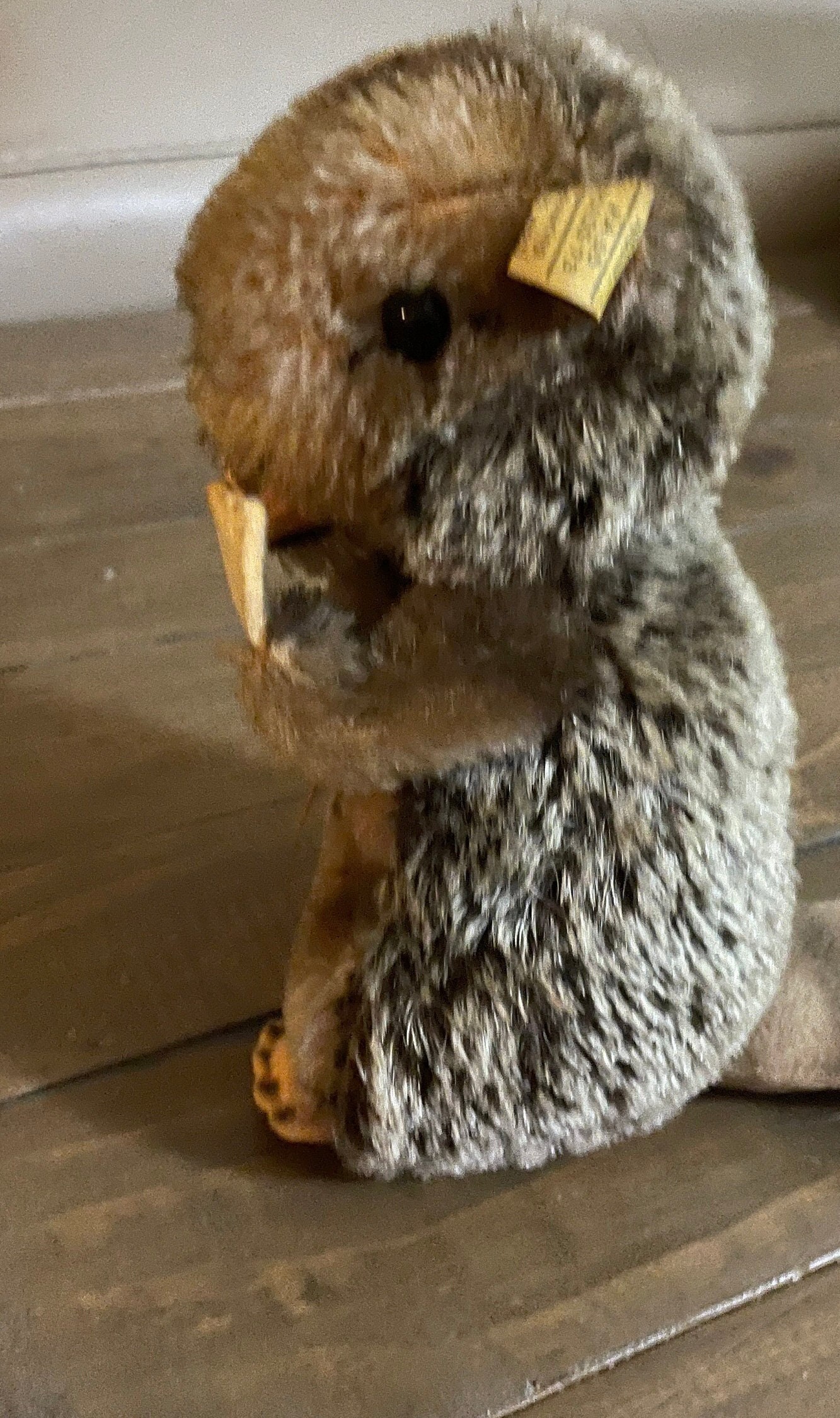 Vintage Mohair Steiff Beaver Nagy Made in Germany - Etsy