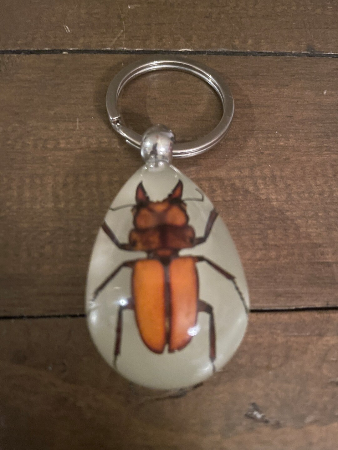 Vintage Lucite Encased Beetle Neolucanus Bug Keychain - Etsy