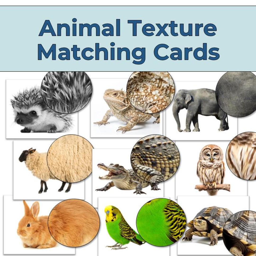 Montessori Animal Silhouette Matching - Toddler or Preschool Printable ...