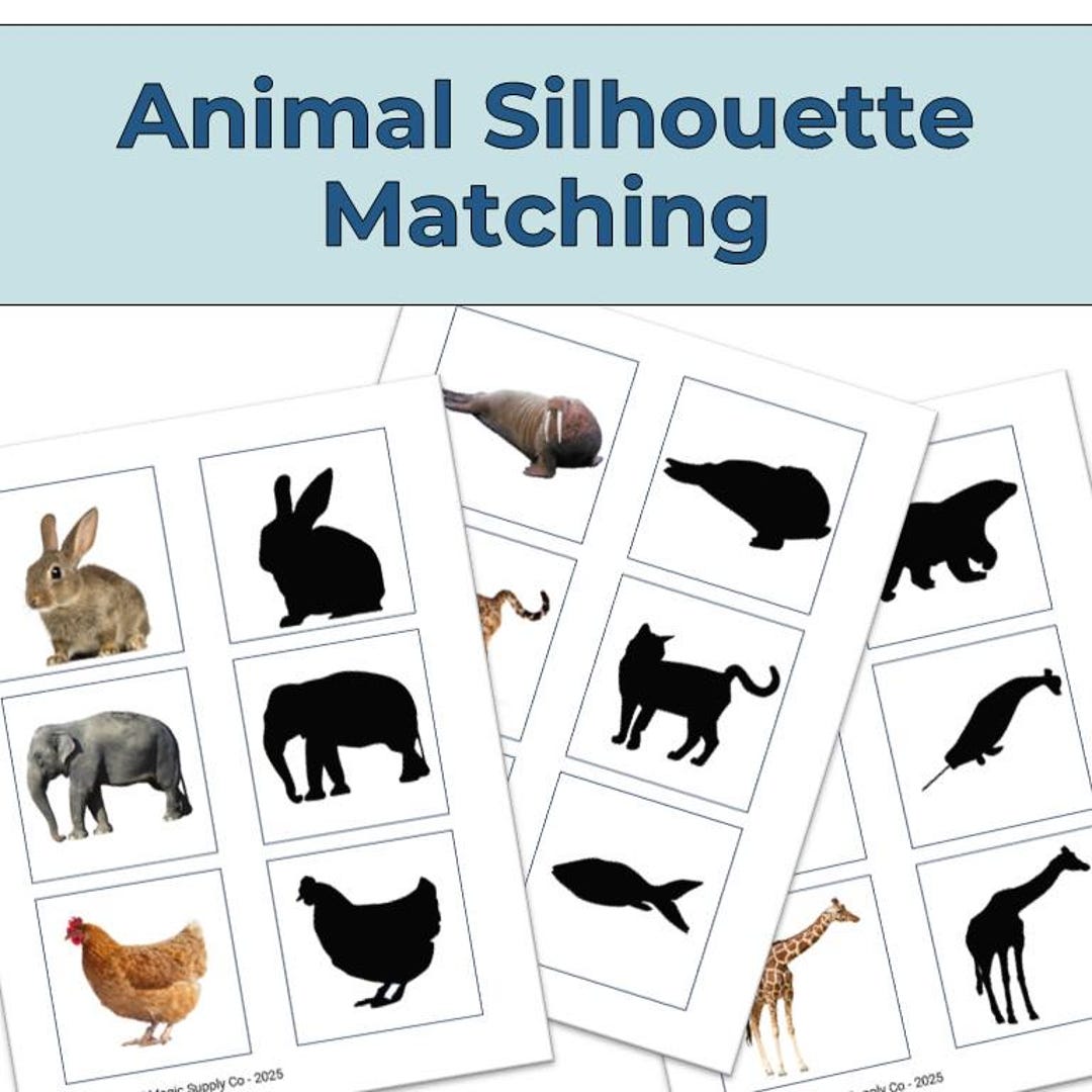 Montessori Animal Silhouette Matching Toddler or Preschool Printable - Etsy