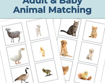 Adult Mother and Baby Animal Matching - Montessori Preschool Science ...