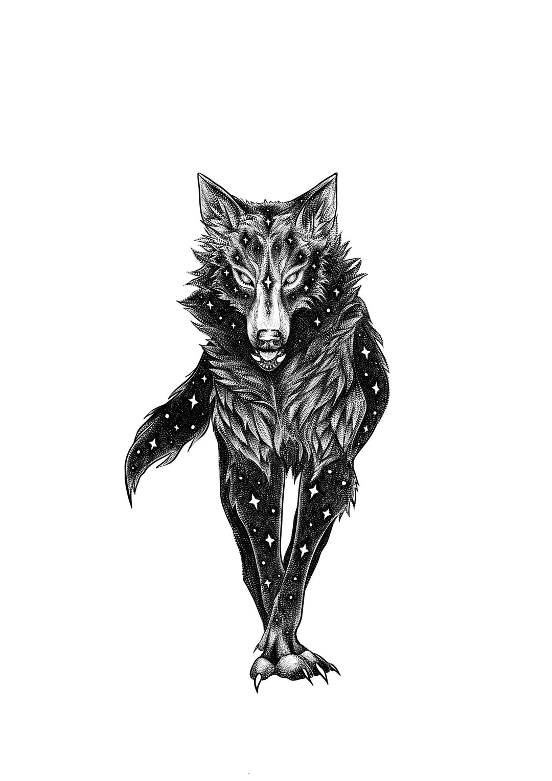 Tattoo Design Wolf Minimalistic Wolf Lined Drawing Printable Art - Etsy
