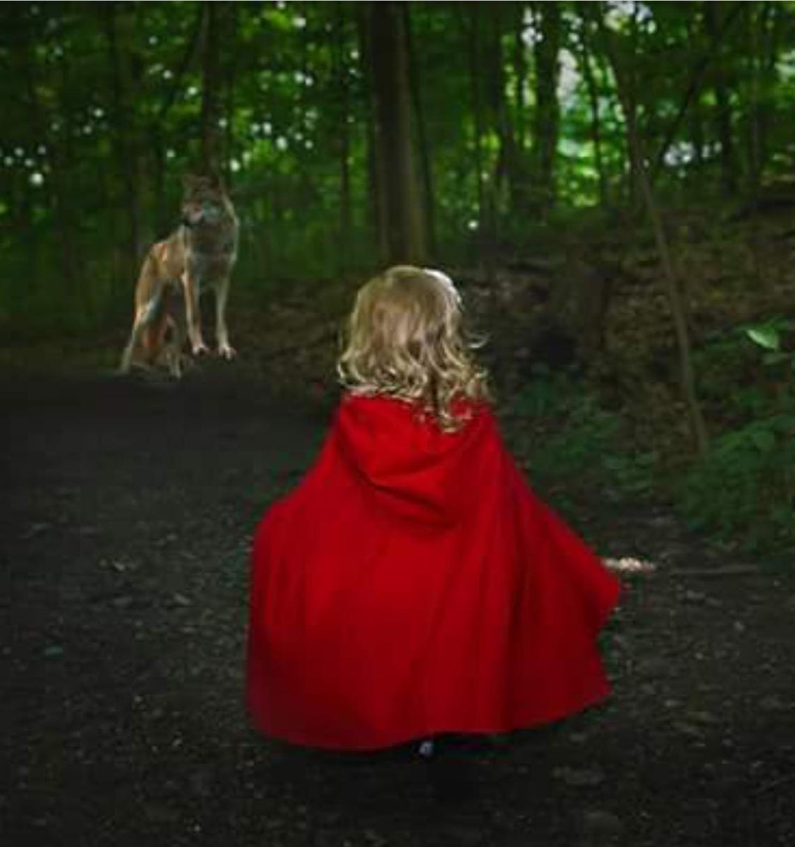 Red Riding Hood Cape ONLY Outfit Halloween Costume Dress Girls Fun ...