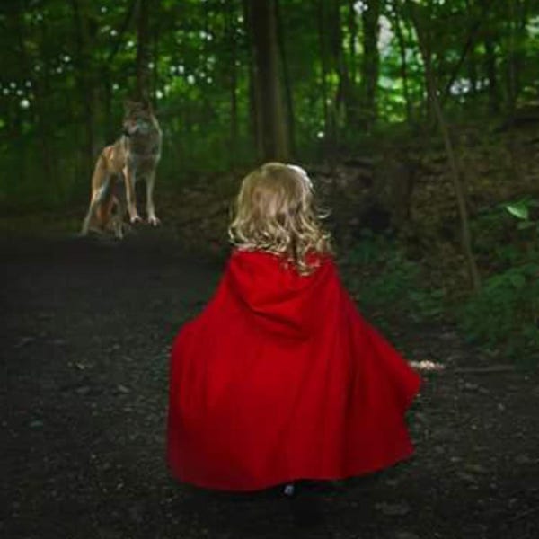 Wolf and Red Riding Hood Costume - Etsy