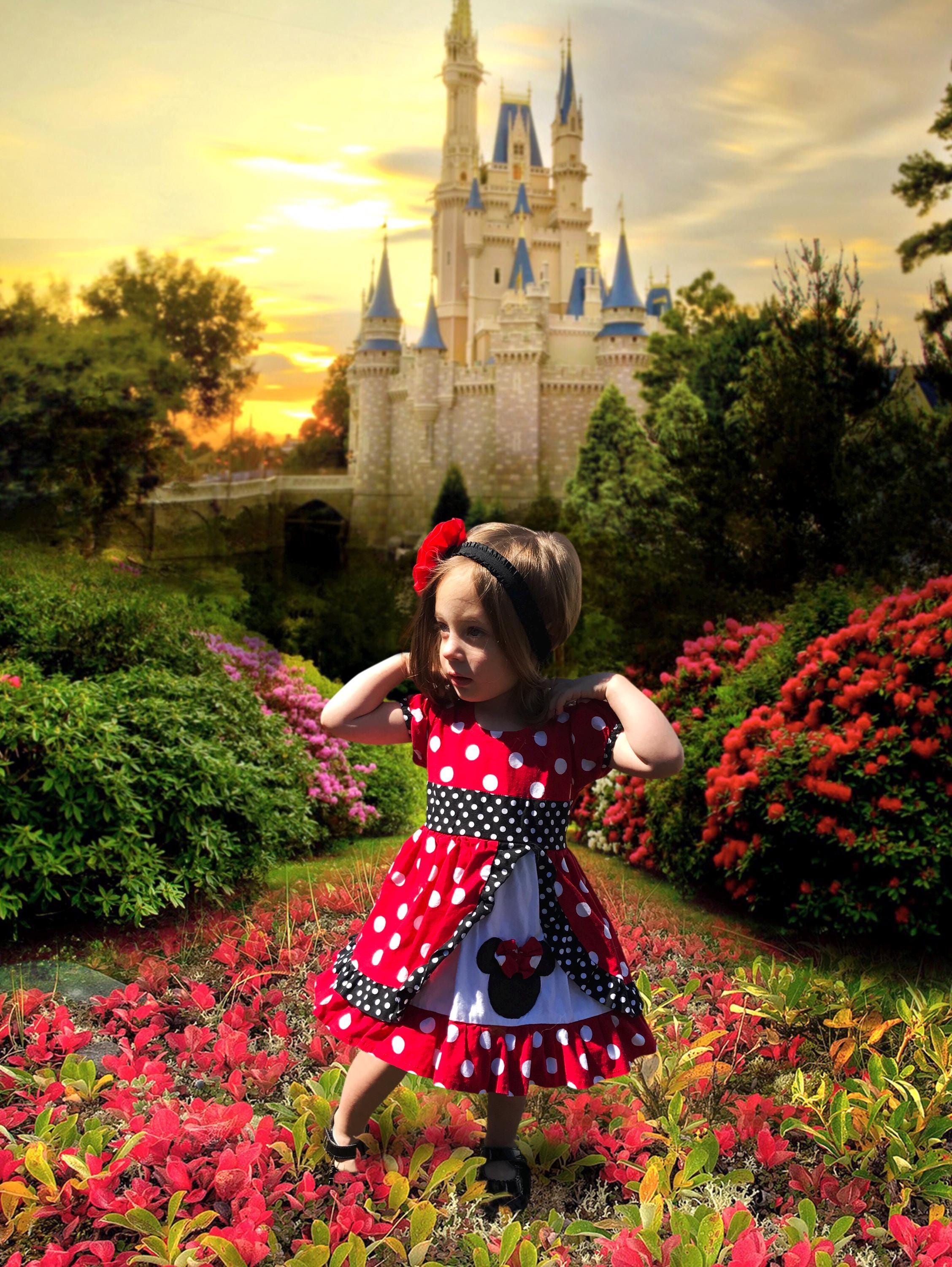 Mouse Inspired Dress Outfit Halloween Costume Dress Fun Party Wear ...