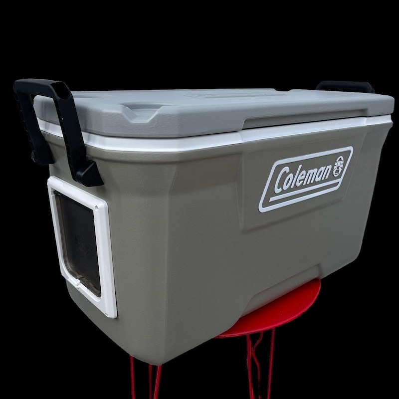 White House on Cat - Etsy