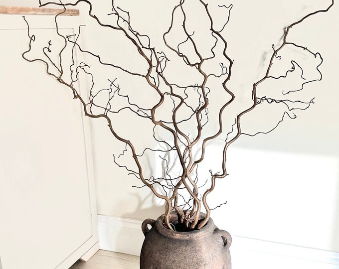 XL Twisted Hazel Branch Corylus Curly Twigs Wabi Sabi Decor Minimalist ...