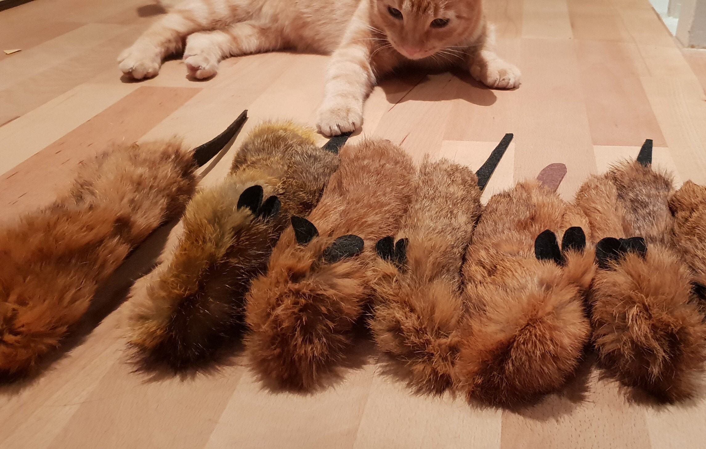 XXL Fell Mäuse 20 cm lang Katzenminze Kaninchen catnip | Etsy