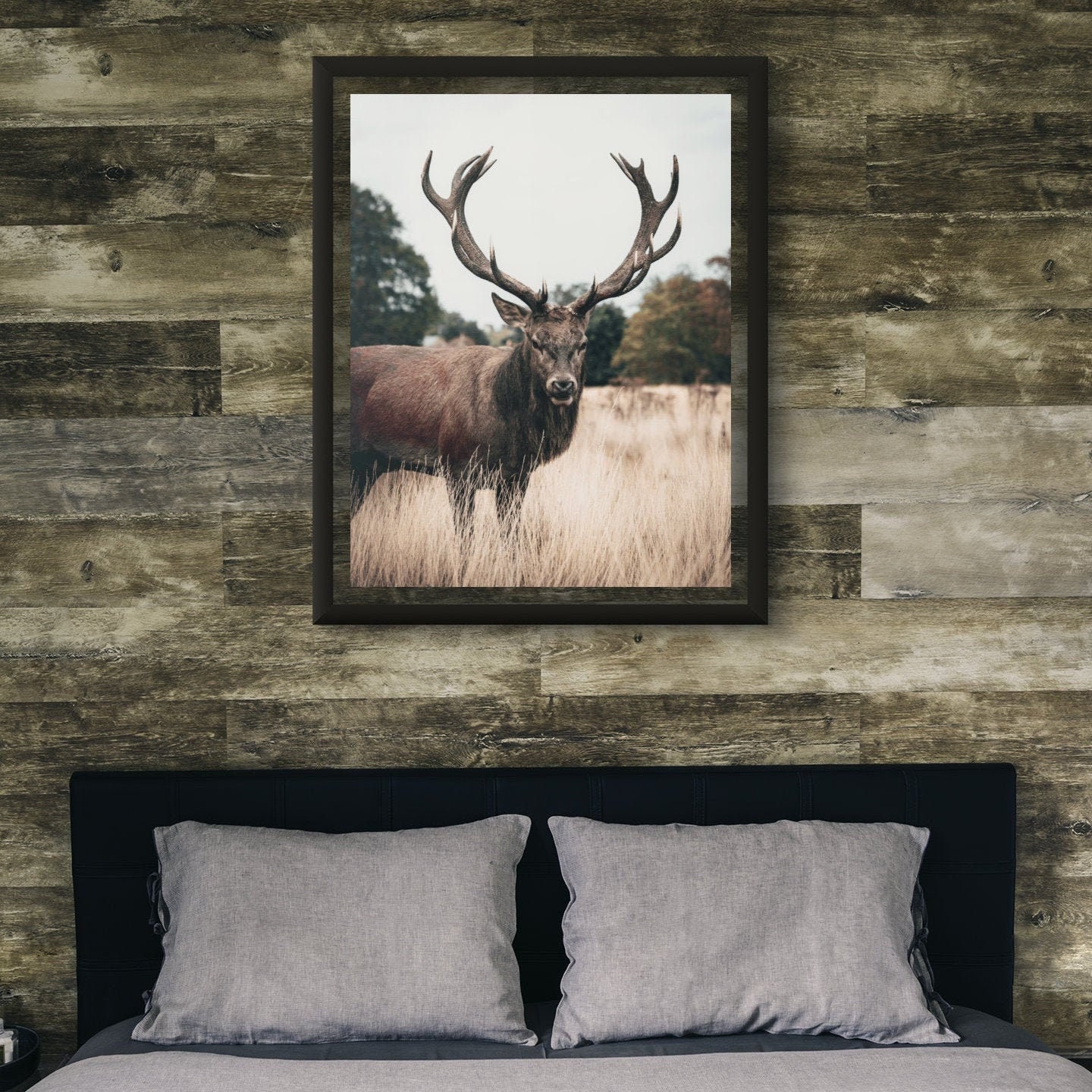 The Rack Buck Premium Matte Poster, Deer & Elk Pictures, Stag Pictures ...