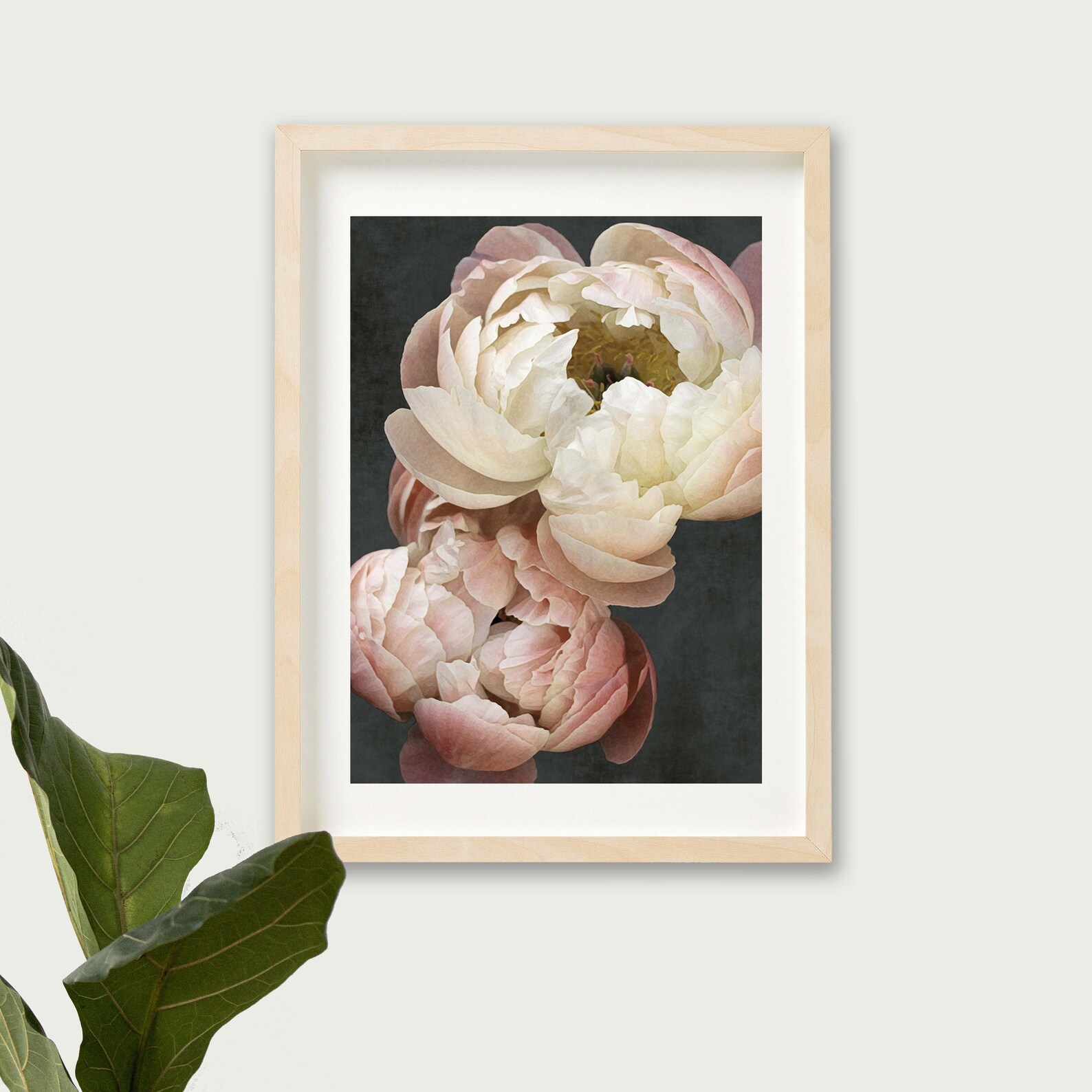 Vintage Floral Print Set Set or Separate Prints Peonies - Etsy