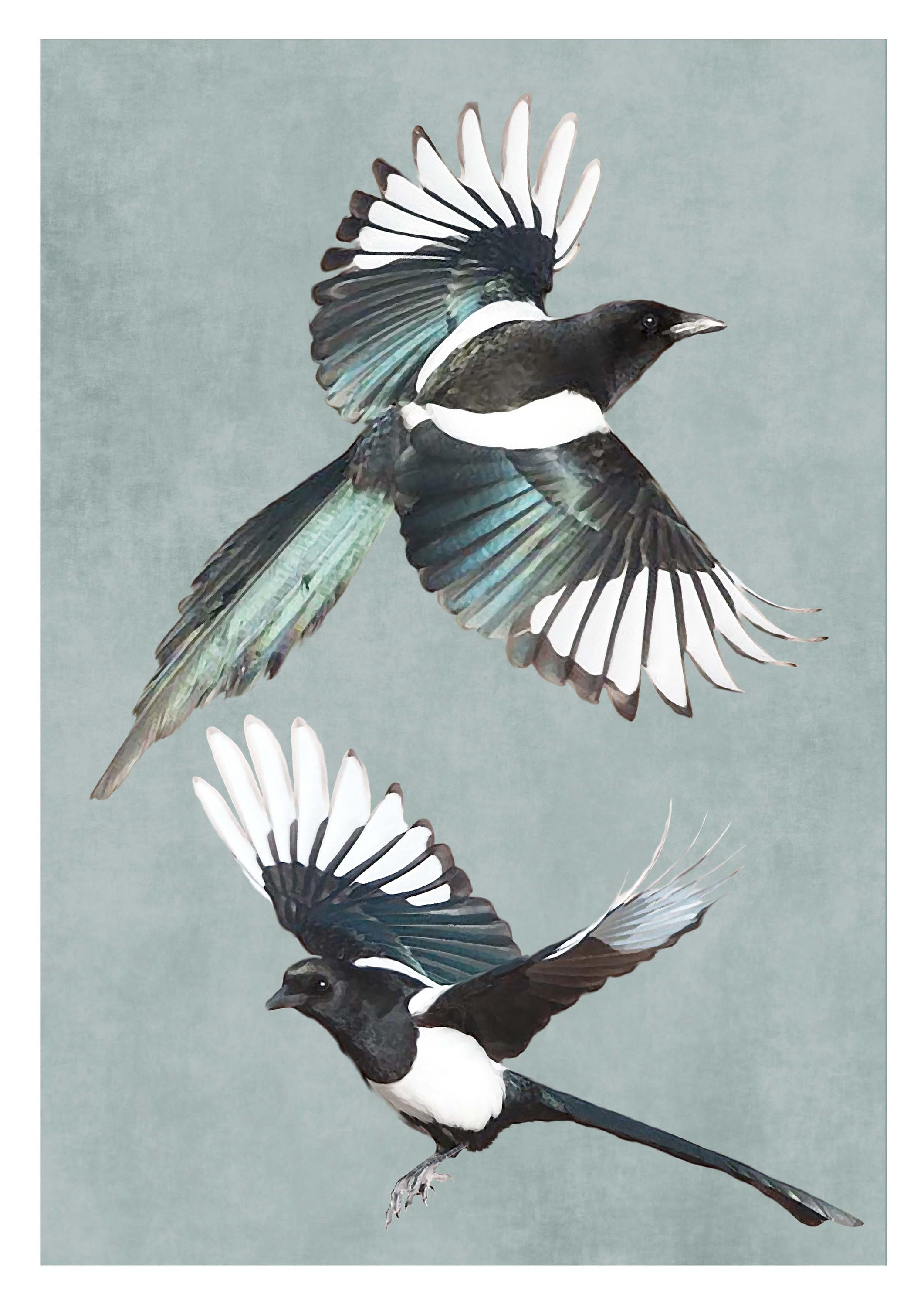Magpie Pair Print Flying Bird Print Colourway Options - Etsy UK