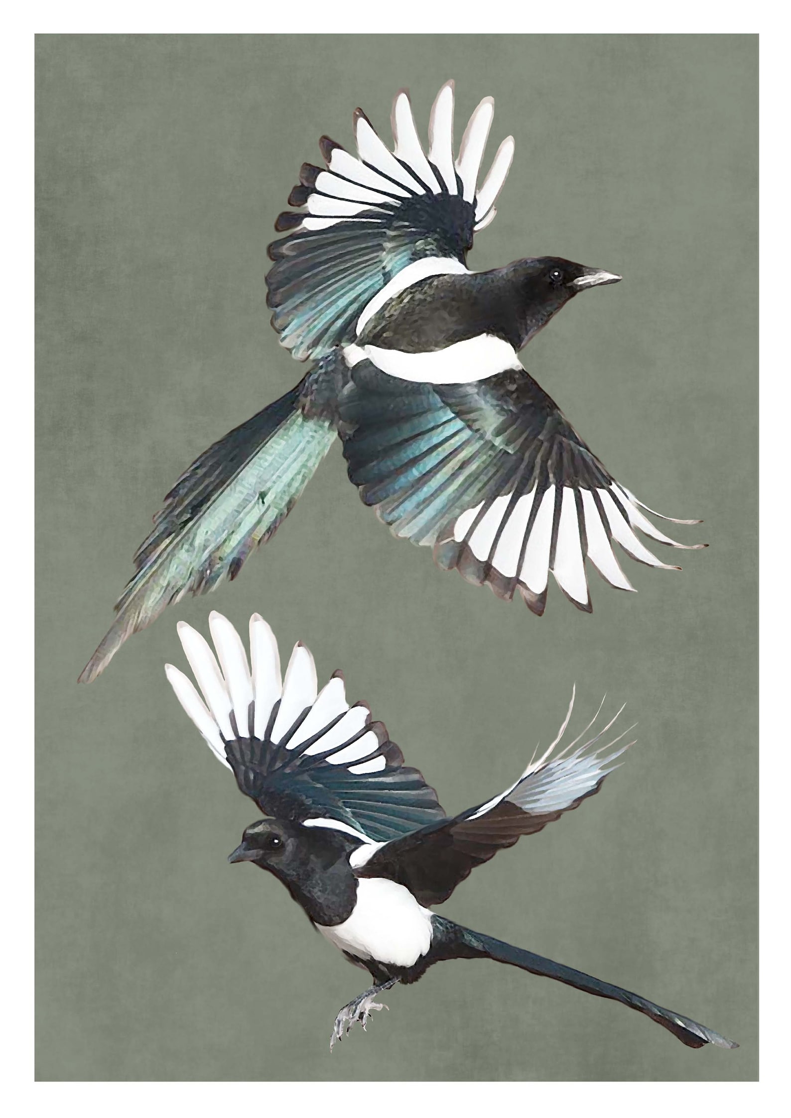 Magpie Pair Print Flying Bird Print Colourway Options - Etsy UK