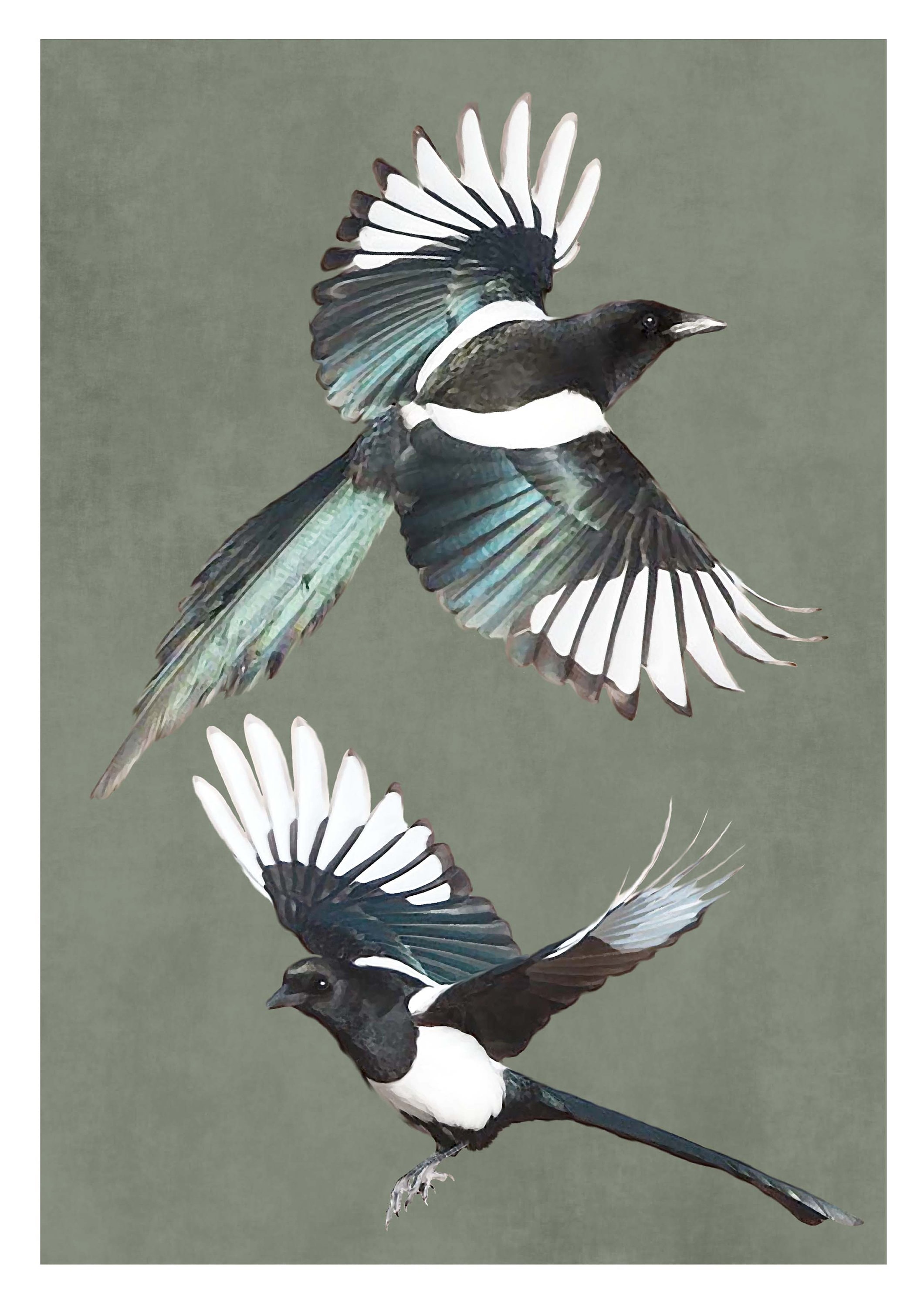 Magpie Pair Print Flying Bird Print Colourway Options - Etsy UK