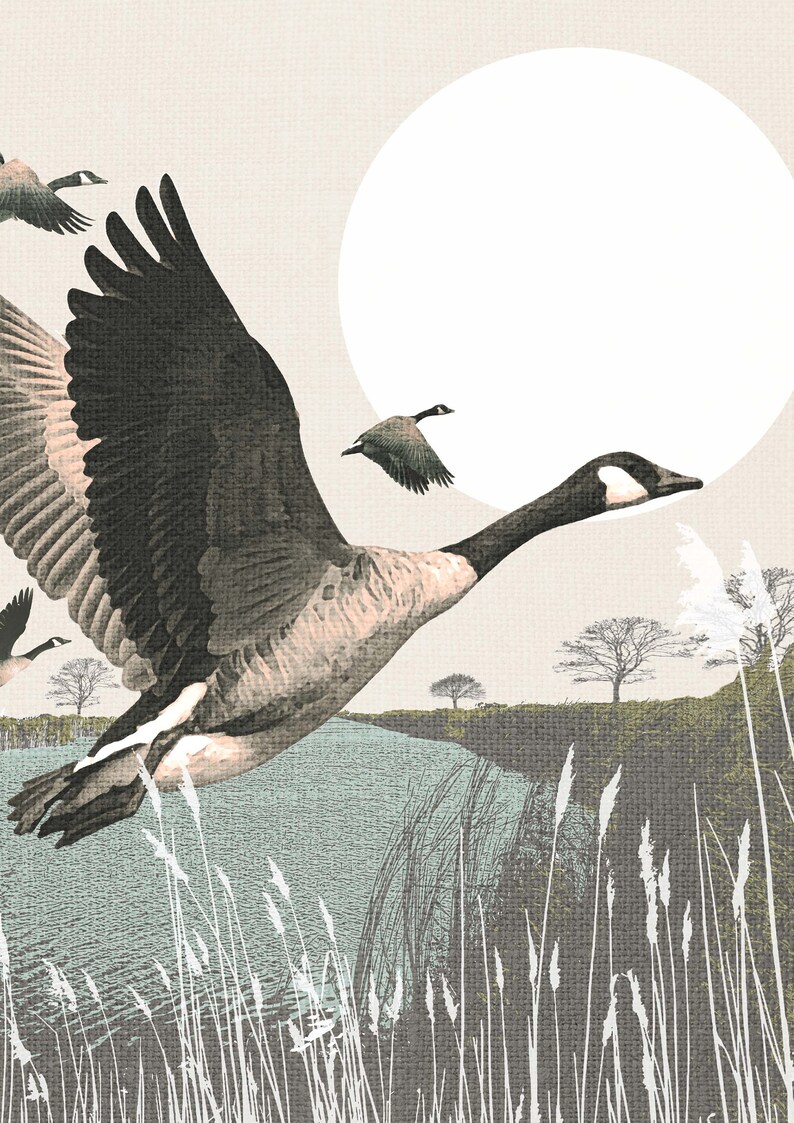 Flying Bird Print Bird Wall Art River Print British Bird | Etsy