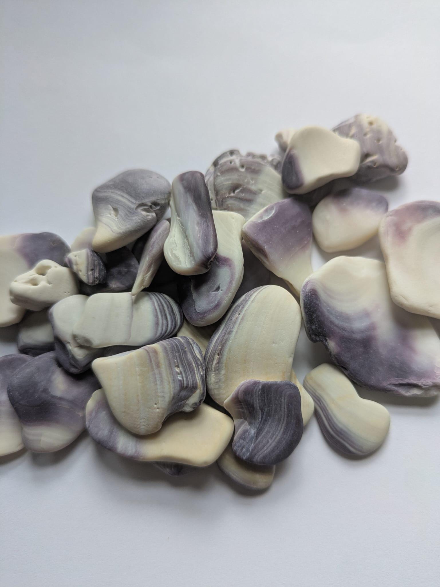 Wampum Quahog Shell Pieces - Etsy