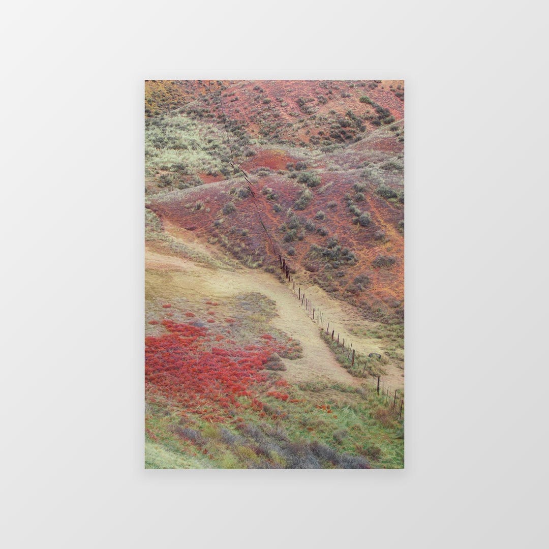 Trippy Psychedelic Flower Field Wall Art – Color-altered Surreal Nature ...