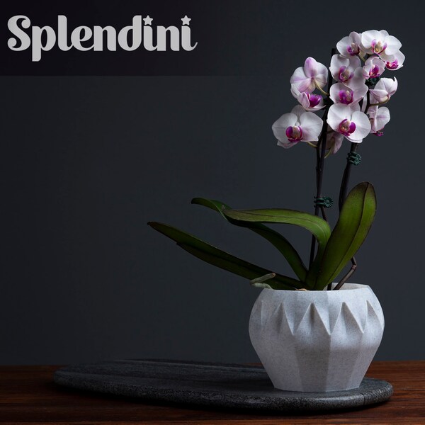 Orchid Pot - Etsy