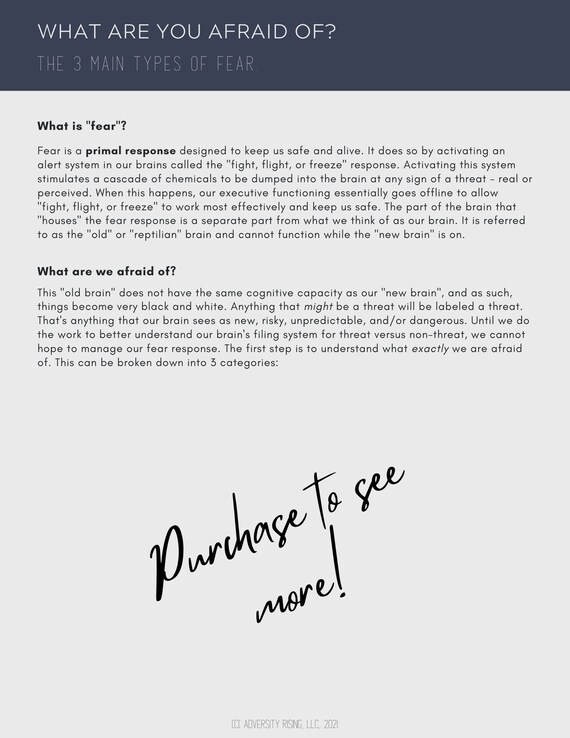 Types of Fear: a DIGITAL Handout Designed to Help You Get | Etsy