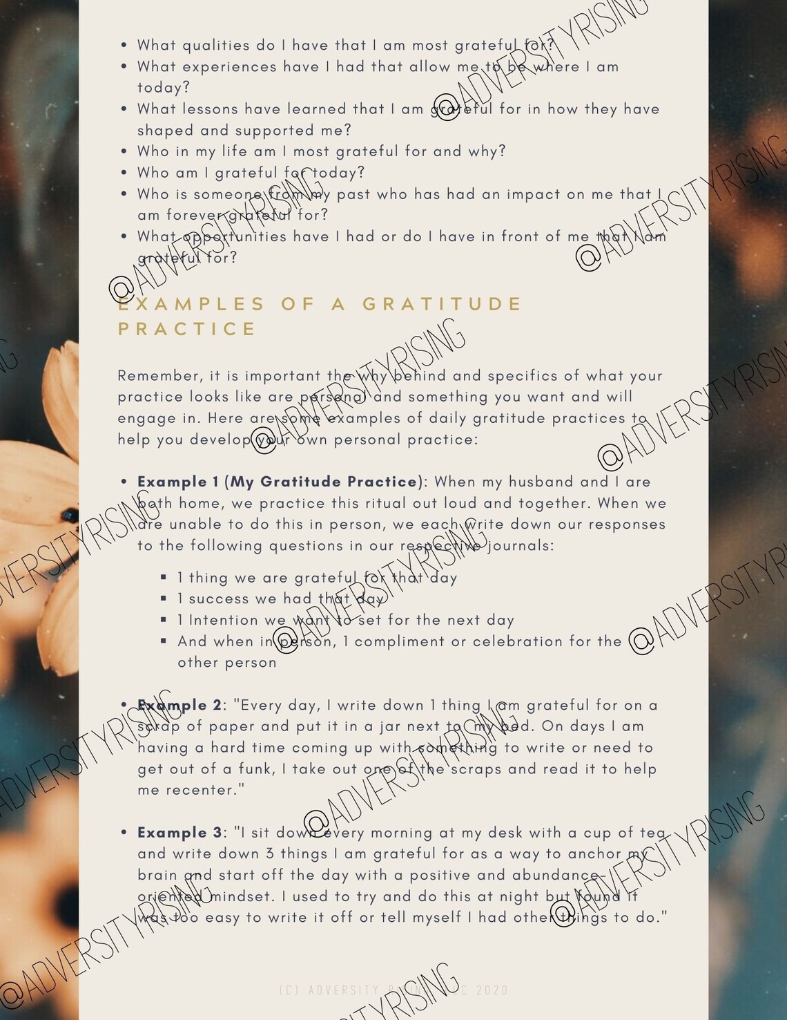 Establishing a Gratitude Practice Handout - Etsy