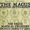 OCCULT ENCYCLOPEDIA - an Encyclopaedia of Occultism (1960) 483 Pages ...