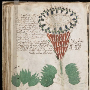 MAGICAL VOYNICH MANUSCRIPT World's Most Famous Undeciphered Book Author ...
