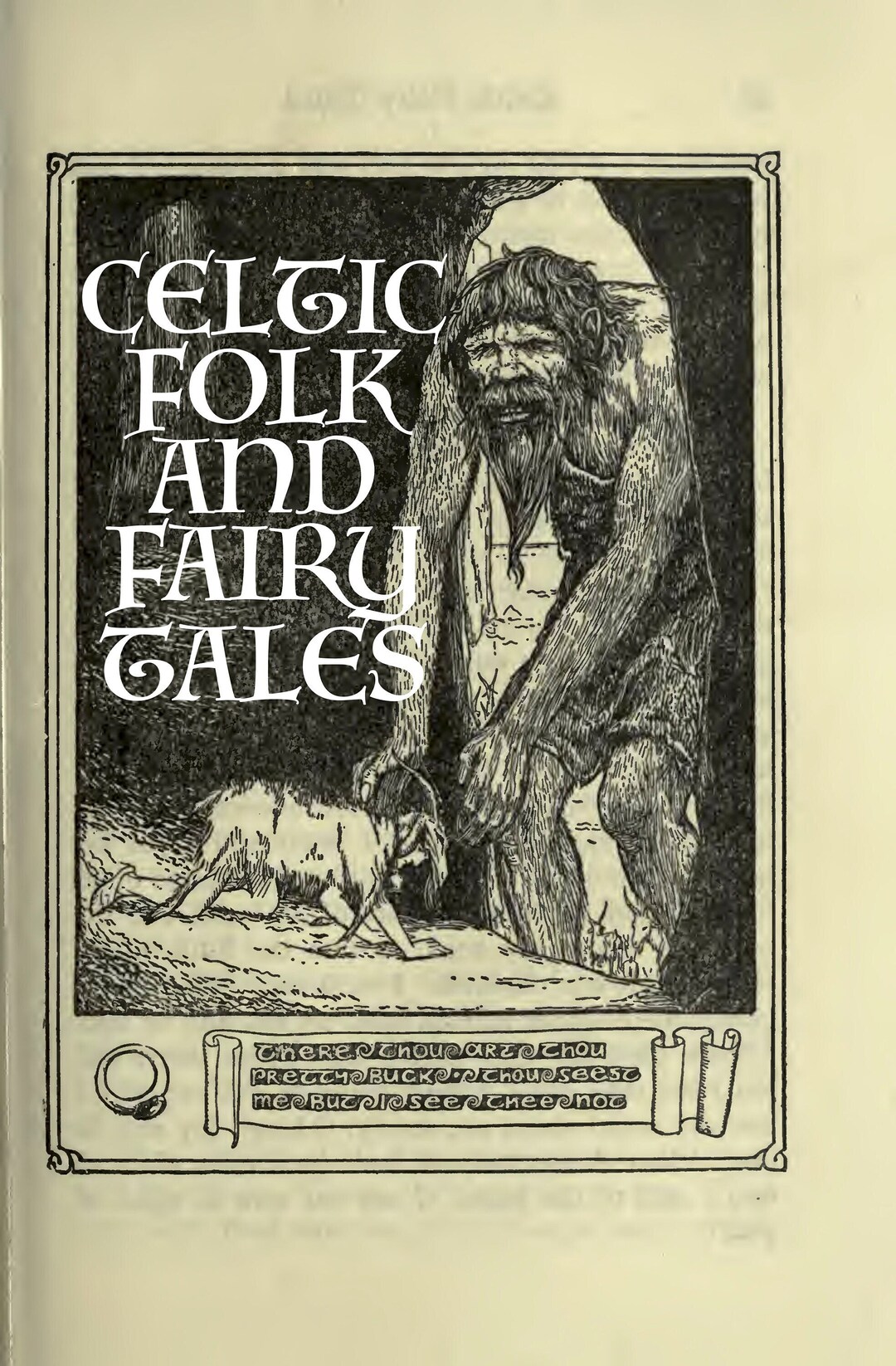 CELTIC FAIRY TALES - Vintage Illustrations Book (1891) Faerie, Fae ...