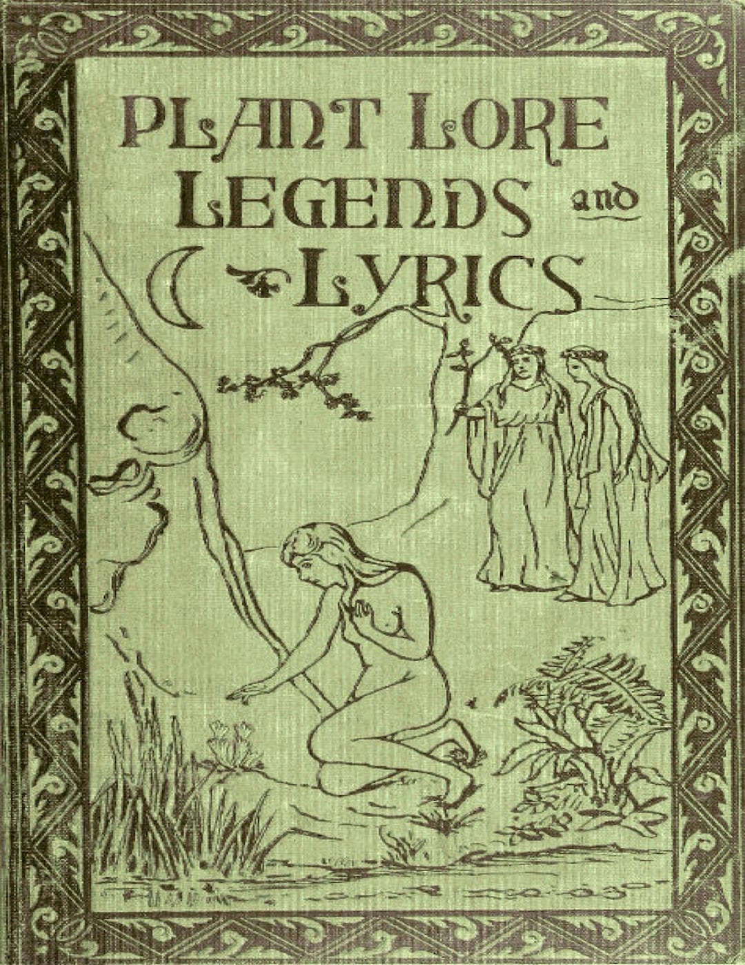 Plant Lore, Legends & Lyrics: Myths, Traditions, Superstitions of the ...