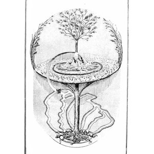 Plant Lore, Legends & Lyrics: Myths, Traditions, Superstitions of the ...