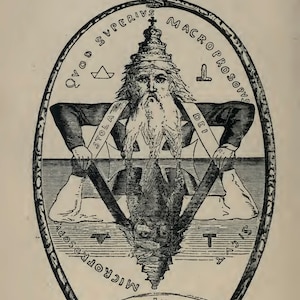 TRANSCENDENTAL MAGIC -eliphas Levi (1896) Witchcraft Book, Magic ...