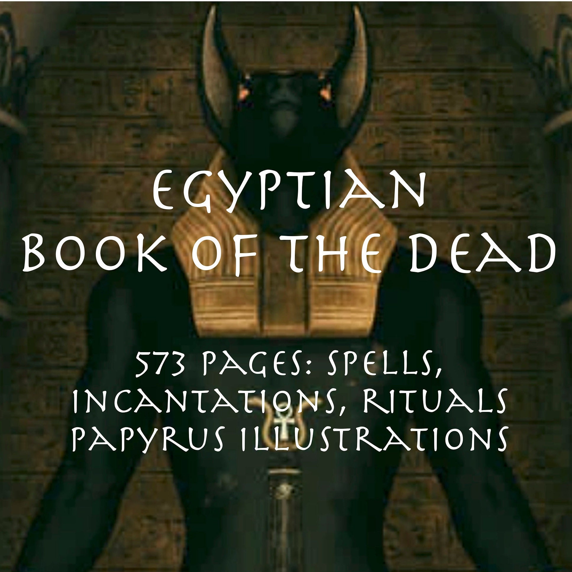 BOOK of the DEAD: Ancient Egyptian Spells & Instructions for | Etsy