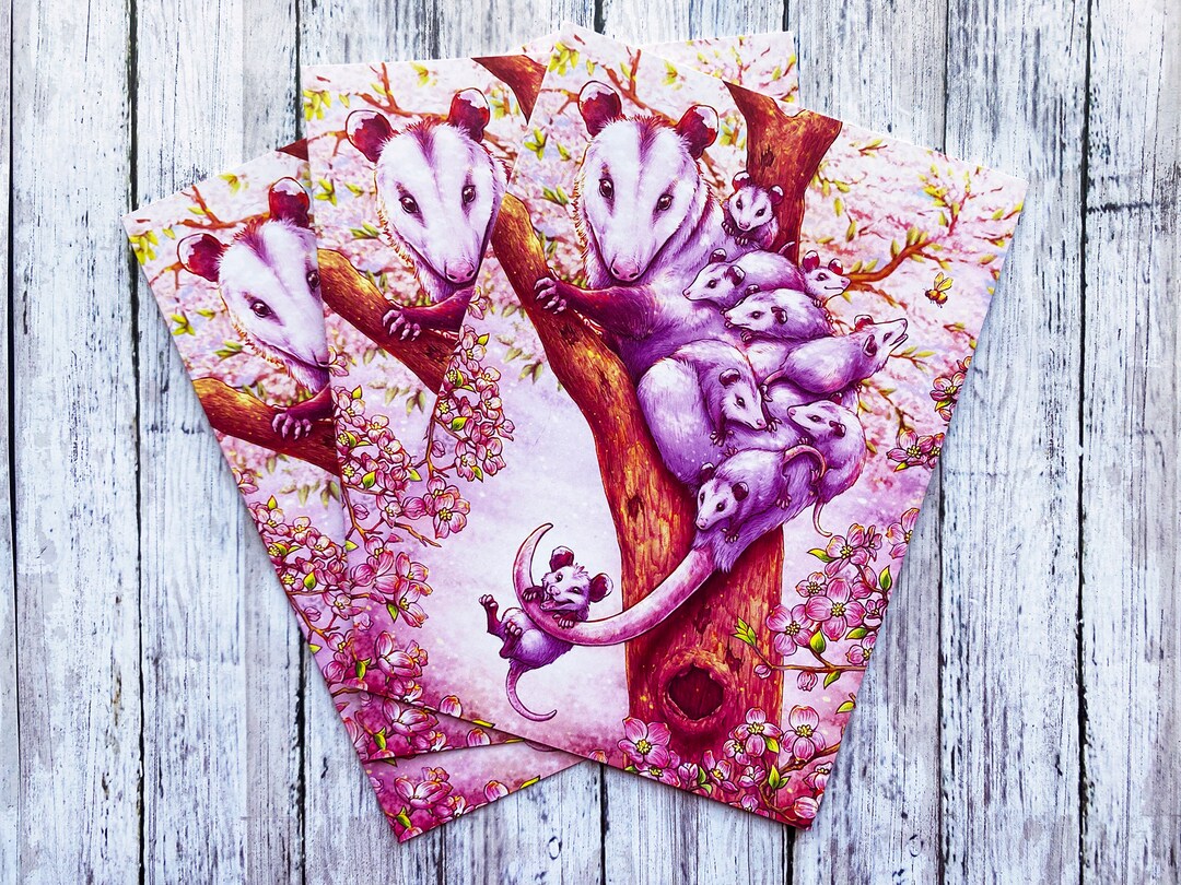 Possum Greeting Card Pack Set of 3 Prints, Possum Painting, Blank ...