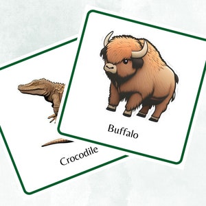 COMPLETE PACK CARDS of Animal in English and Spanish - Etsy