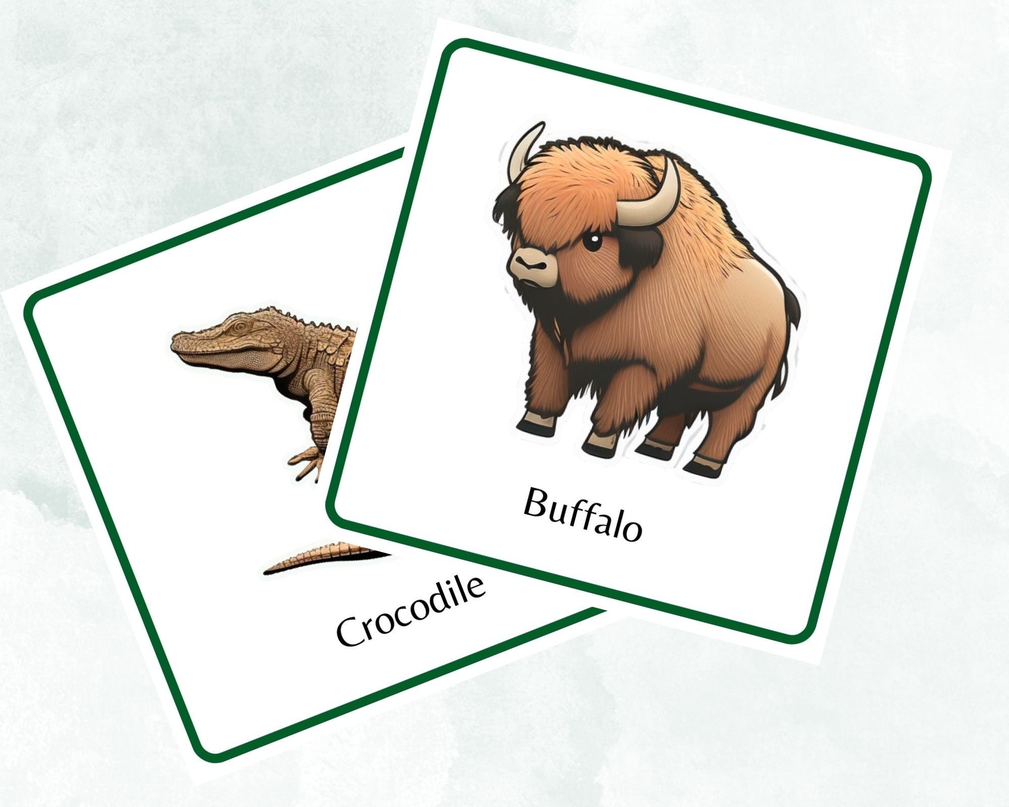 COMPLETE PACK CARDS of Animal in English and Spanish - Etsy