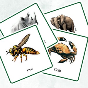 COMPLETE PACK CARDS of Animal in English and Spanish - Etsy