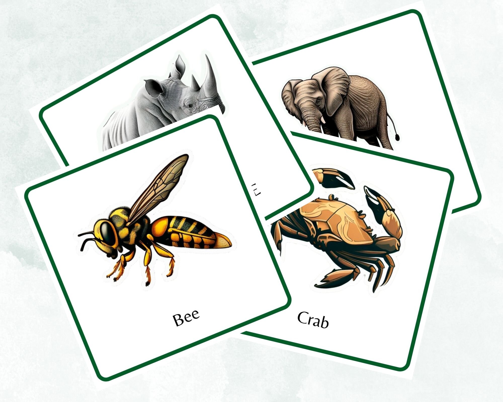 COMPLETE PACK CARDS of Animal in English and Spanish - Etsy