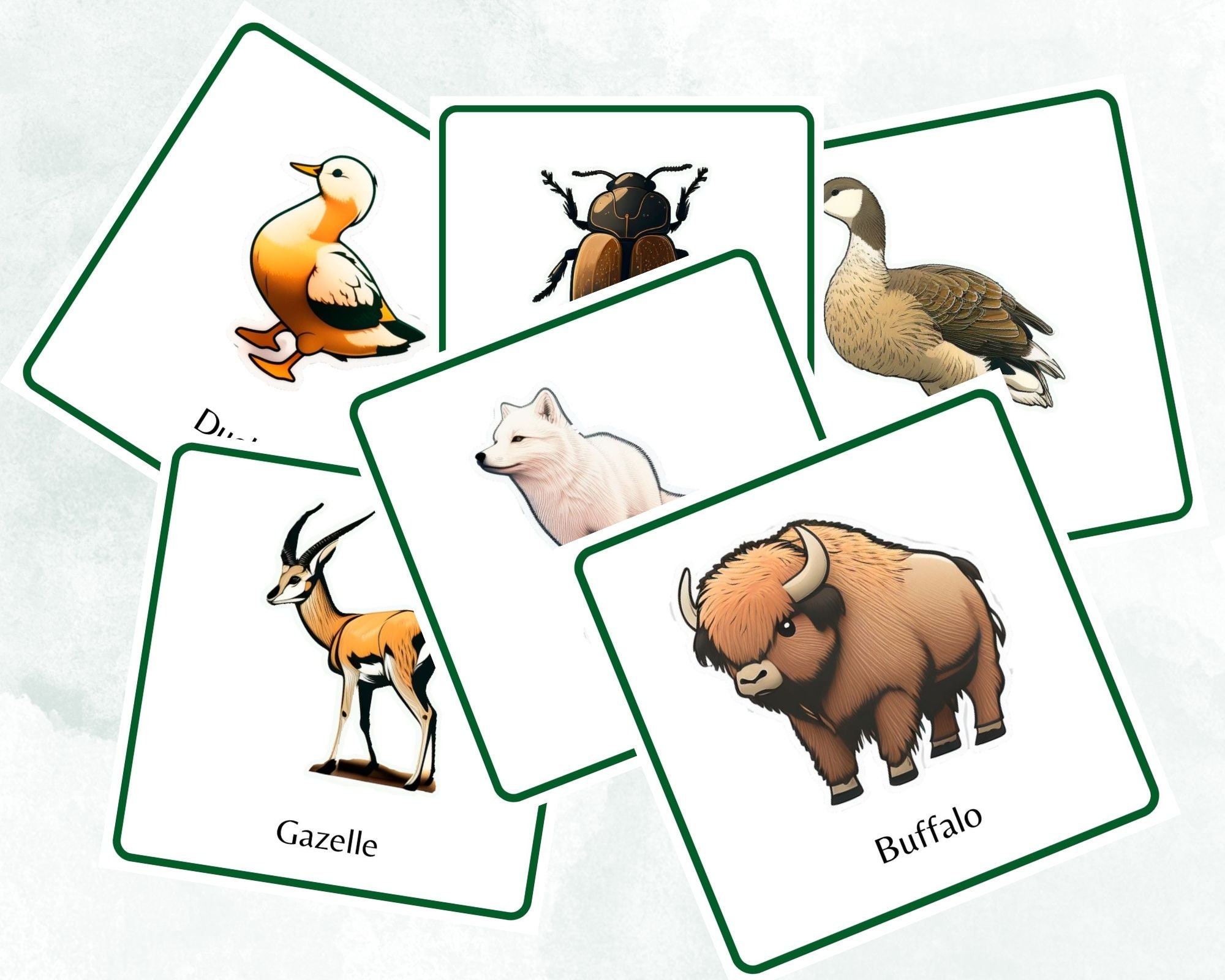 COMPLETE PACK CARDS of Animal in English and Spanish - Etsy