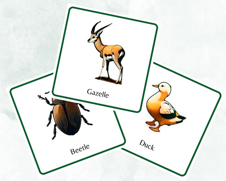 TARJETAS IMPRIMIBLES de ANIMALES en español - Etsy México