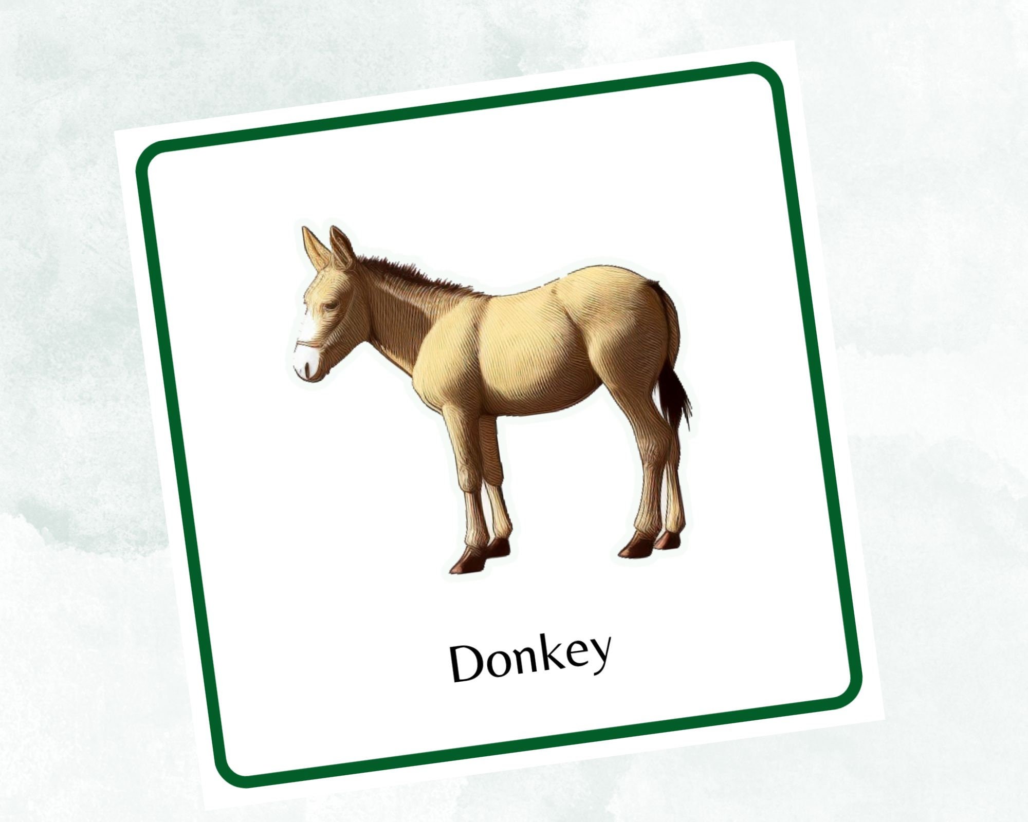 COMPLETE PACK CARDS of Animal in English and Spanish - Etsy