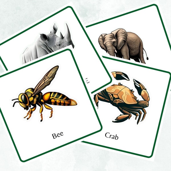 Tarjetas - Etsy España