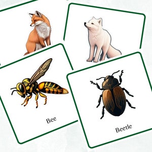 COMPLETE PACK CARDS of Animal in English and Spanish - Etsy
