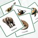 COMPLETE PACK CARDS of Animal in English and Spanish - Etsy