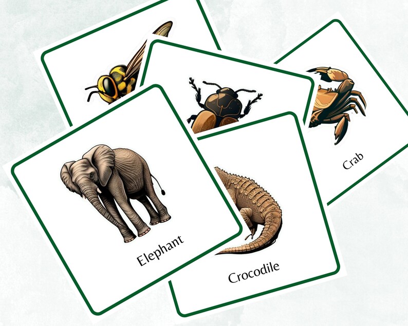 TARJETAS IMPRIMIBLES de ANIMALES en español - Etsy México