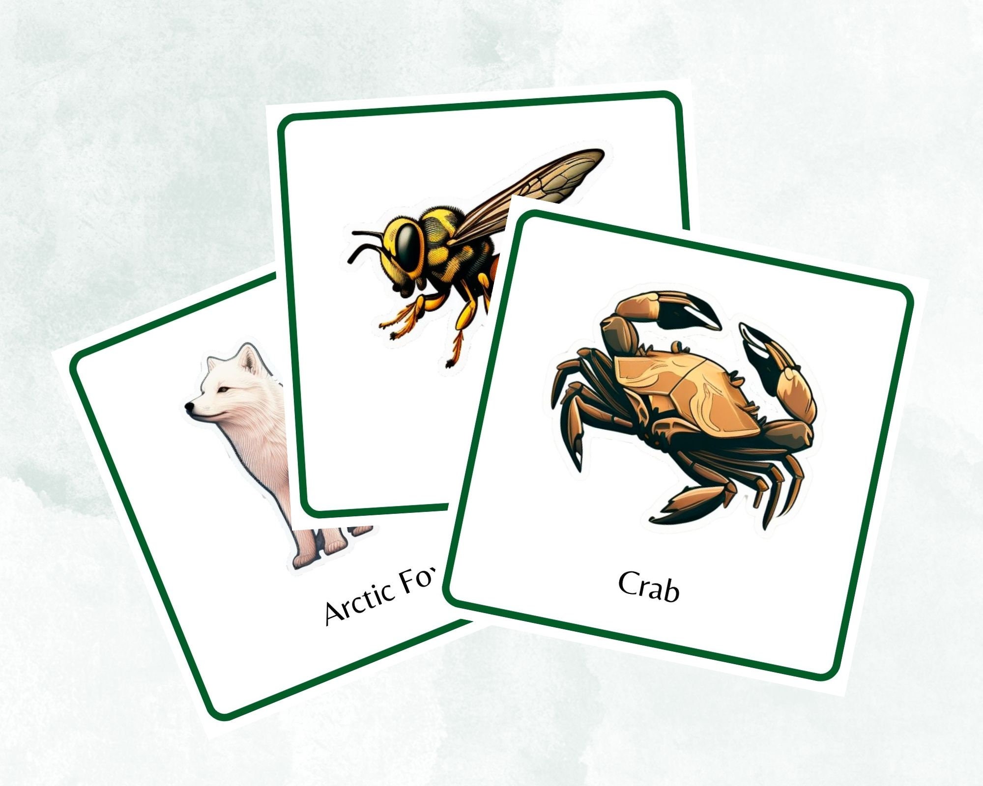 TARJETAS IMPRIMIBLES de ANIMALES en español - Etsy México